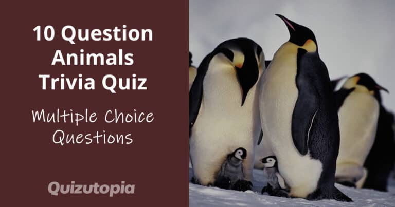 20 Surprising Animal Facts Trivia Questions And Answers (Multiple Choice) - Quizutopia
