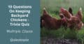 10 Multiple Choice Questions Animal Trivia Quiz - Quizutopia