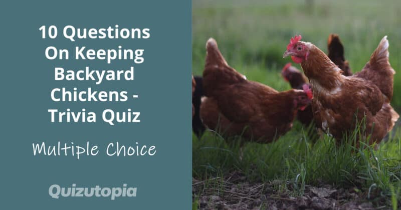 30 Groups Of Animal Names Questions And Answers (Multiple Choice ...