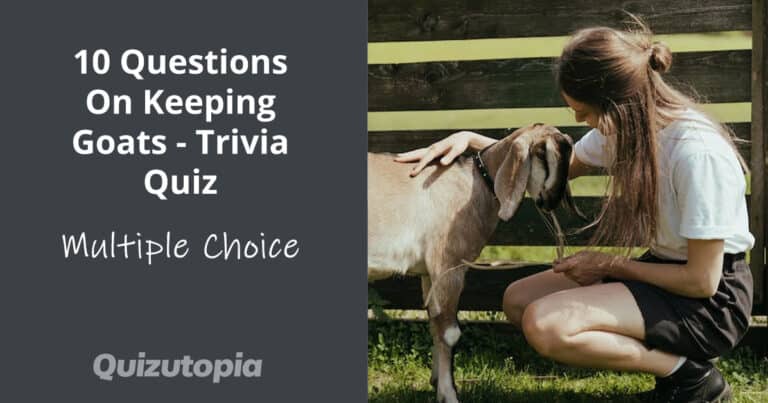 20 Surprising Animal Facts Trivia Questions And Answers (Multiple ...