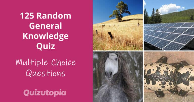 110 Fun General Knowledge Quiz Questions With Answers - Quizutopia
