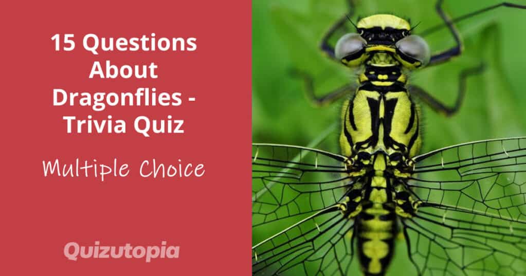 20 Surprising Animal Facts Trivia Questions And Answers (Multiple ...