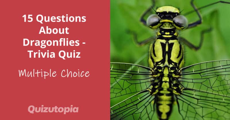 20 Surprising Animal Facts Trivia Questions And Answers (Multiple Choice) - Quizutopia