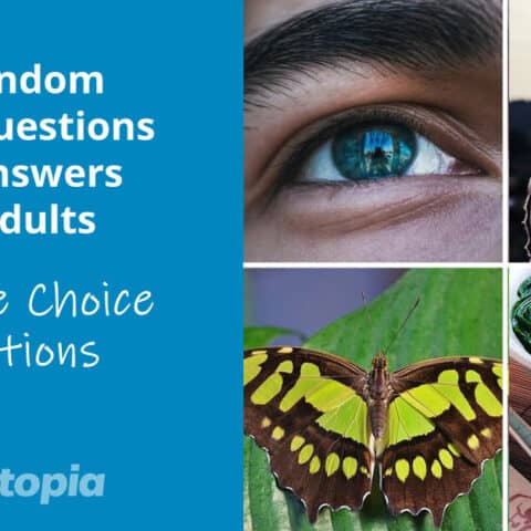 10 Difficult Random Knowledge Quiz Questions And Answers - Quizutopia