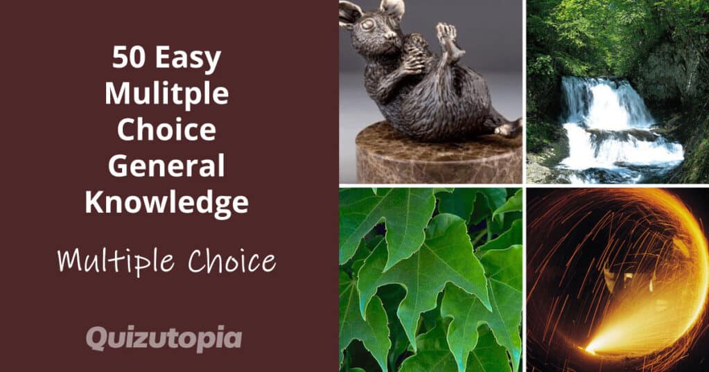 90 Easy General Knowledge Quiz Questions With Answers - Quizutopia