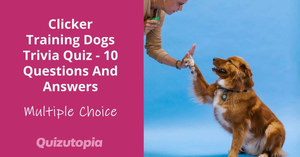 10 Multiple Choice Questions Animal Trivia Quiz - Quizutopia