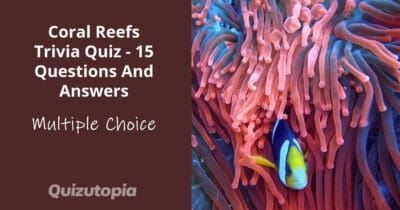 Sea Creatures Trivia Quiz - 20 Questions And Answers - Quizutopia
