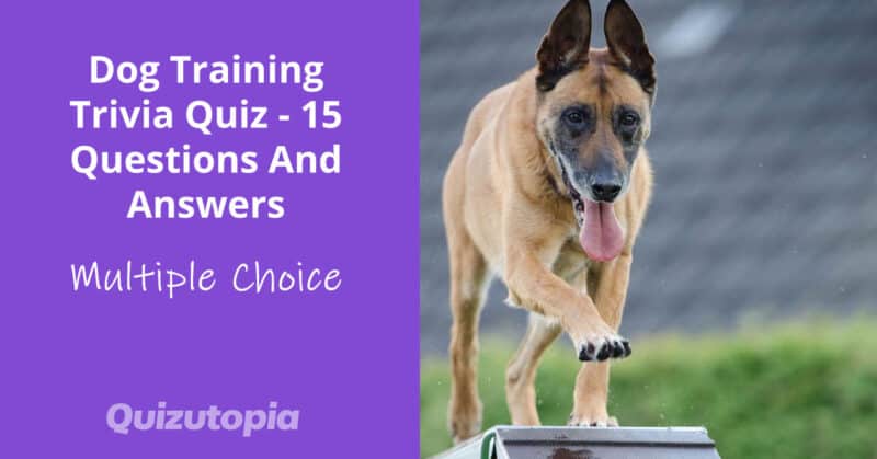 10 Multiple Choice Questions Animal Trivia Quiz - Quizutopia