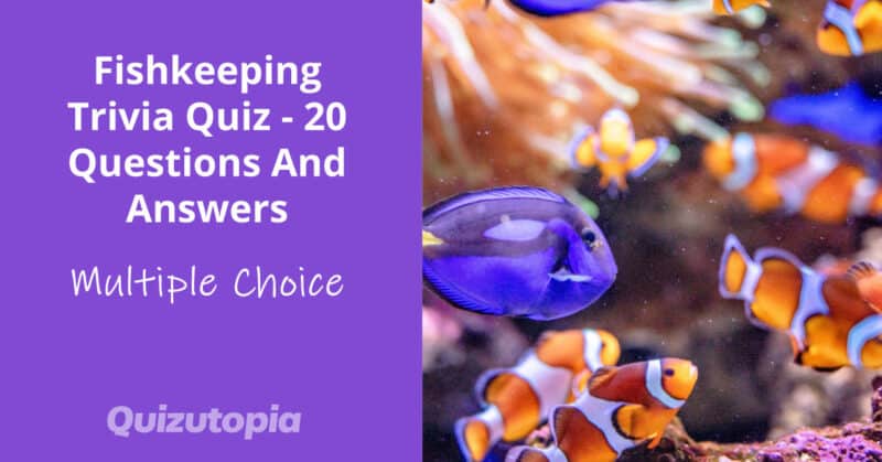 20 Surprising Animal Facts Trivia Questions And Answers (Multiple ...