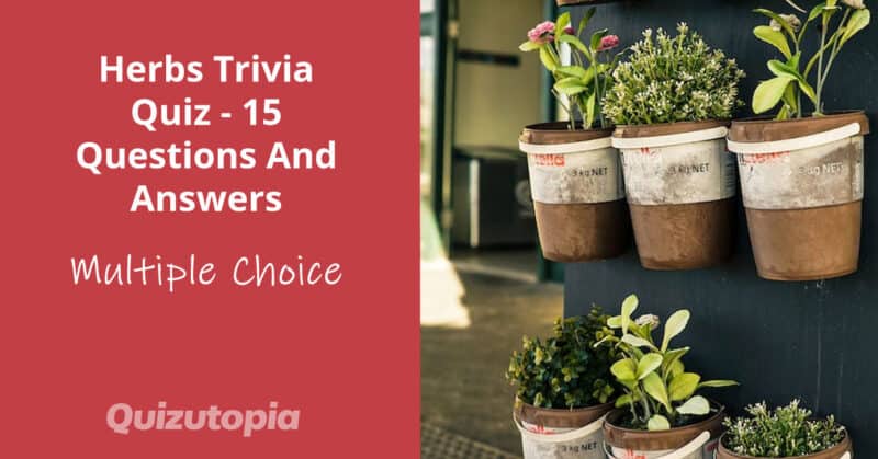 100 Mixed Random Questions For Trivia Night (Multiple Choice) - Quizutopia