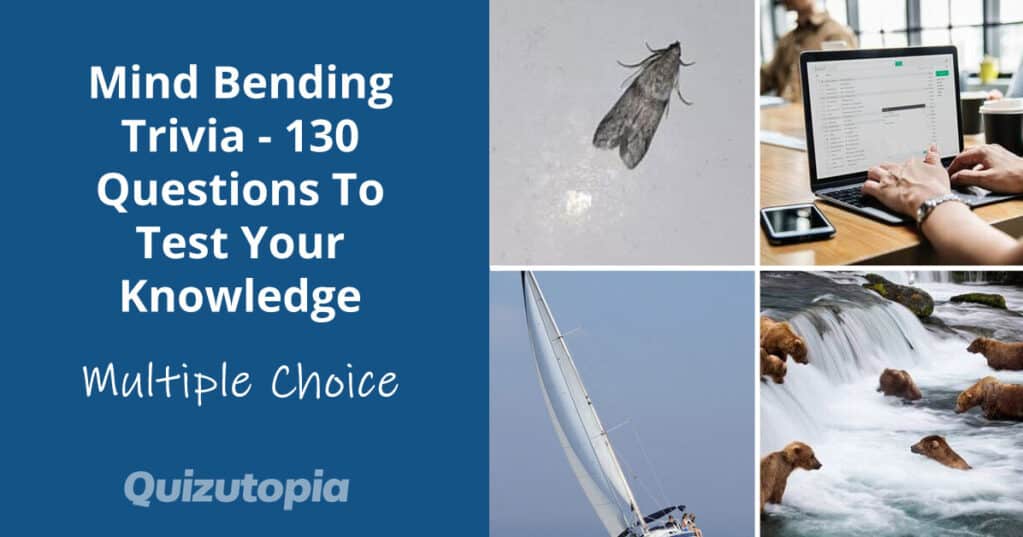 General Knowledge Quizzes Archives - Quizutopia