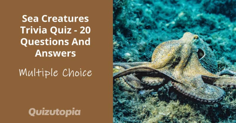20 Question Science Trivia Quiz With Multiple Choice Answers - Quizutopia