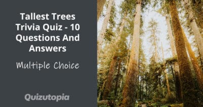 Herbs Trivia Quiz - 15 Questions And Answers - Quizutopia