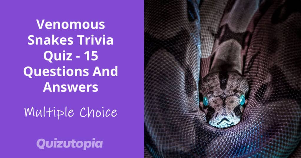 20 Surprising Animal Facts Trivia Questions And Answers (Multiple Choice) - Quizutopia