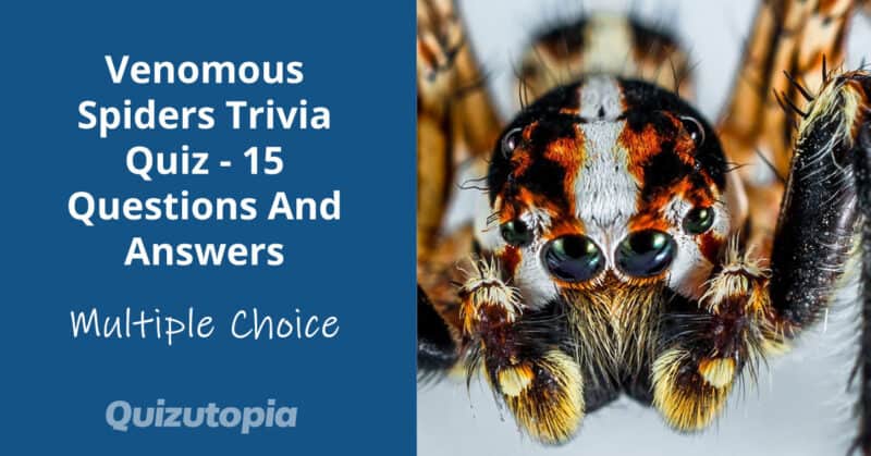 10 Question Multiple Choice Animals Trivia Quiz - Quizutopia