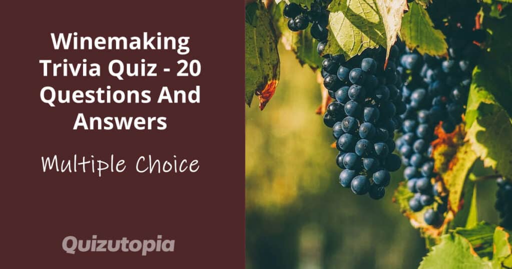 75 Great Trivia Questions For Adults (Multiple Choice) - Quizutopia