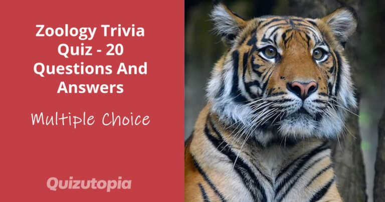 10 Multiple Choice Questions Animal Trivia Quiz - Quizutopia